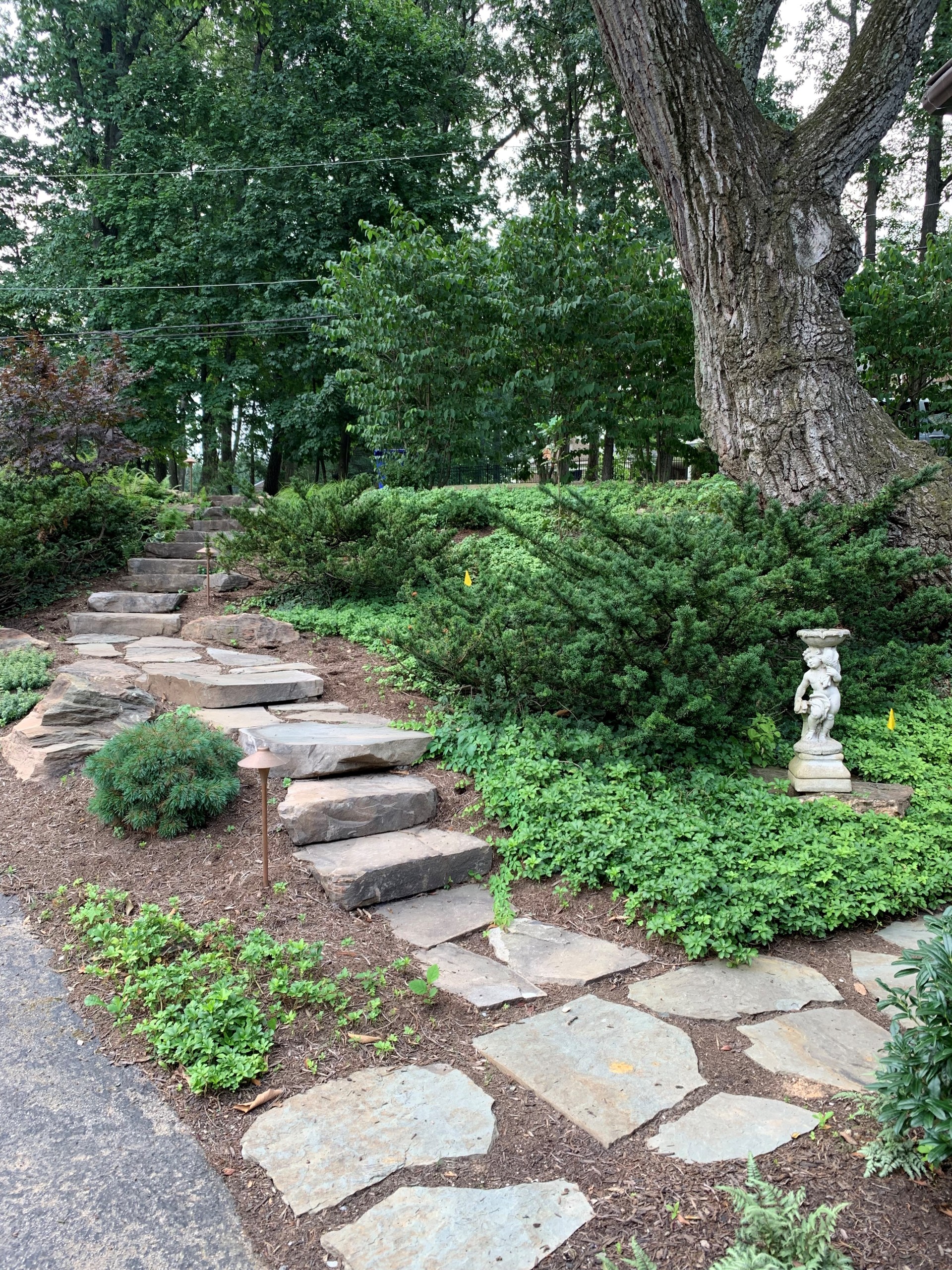 Landscaping Gallery | Shiloh Landscape and Design | York PA